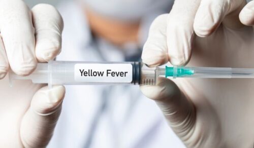 Yellow Fever Vaccination in India – TreatOPedia